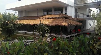 ALANG LALANG SUPPLIER IN MALAYSIA